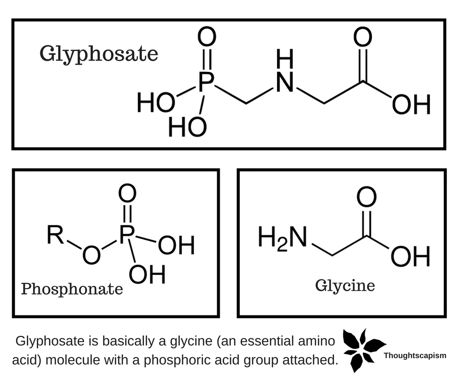17 Questions About Glyphosate | Thoughtscapism