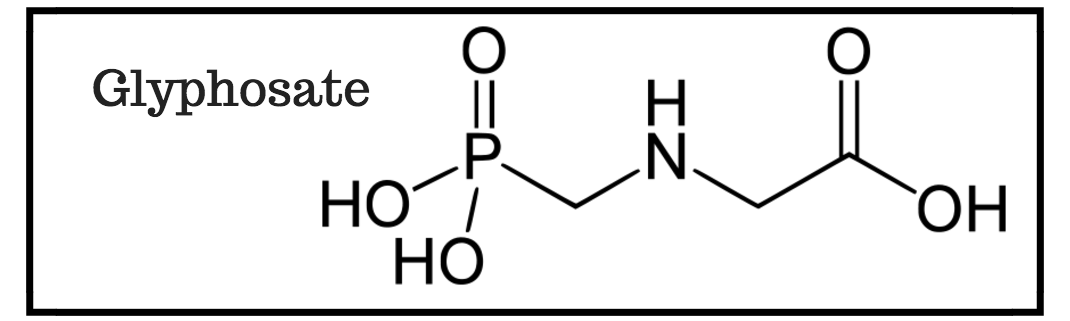 17 Questions About Glyphosate | Thoughtscapism