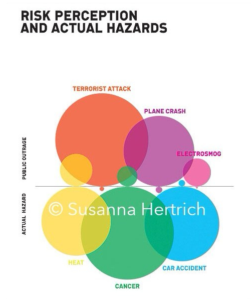 Risk In Perspective | Thoughtscapism