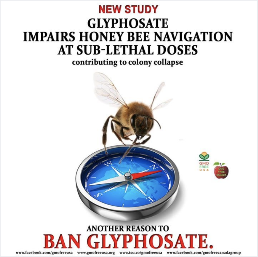 No, Glyphosate Is Not a Threat to Bees | Thoughtscapism